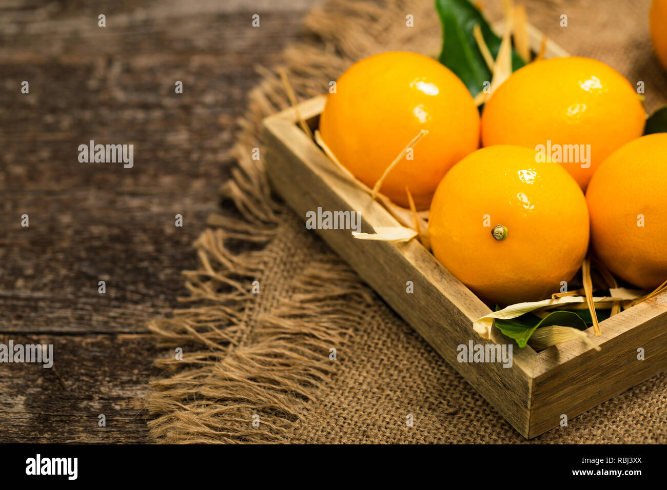 Lemon Oranges. Meyer lemon Hybrid Citrus Fruit Native to China Stock ...