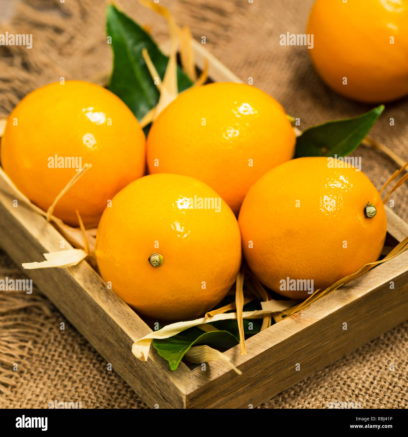 Hybrid lemons hi-res stock photography and images - Alamy
