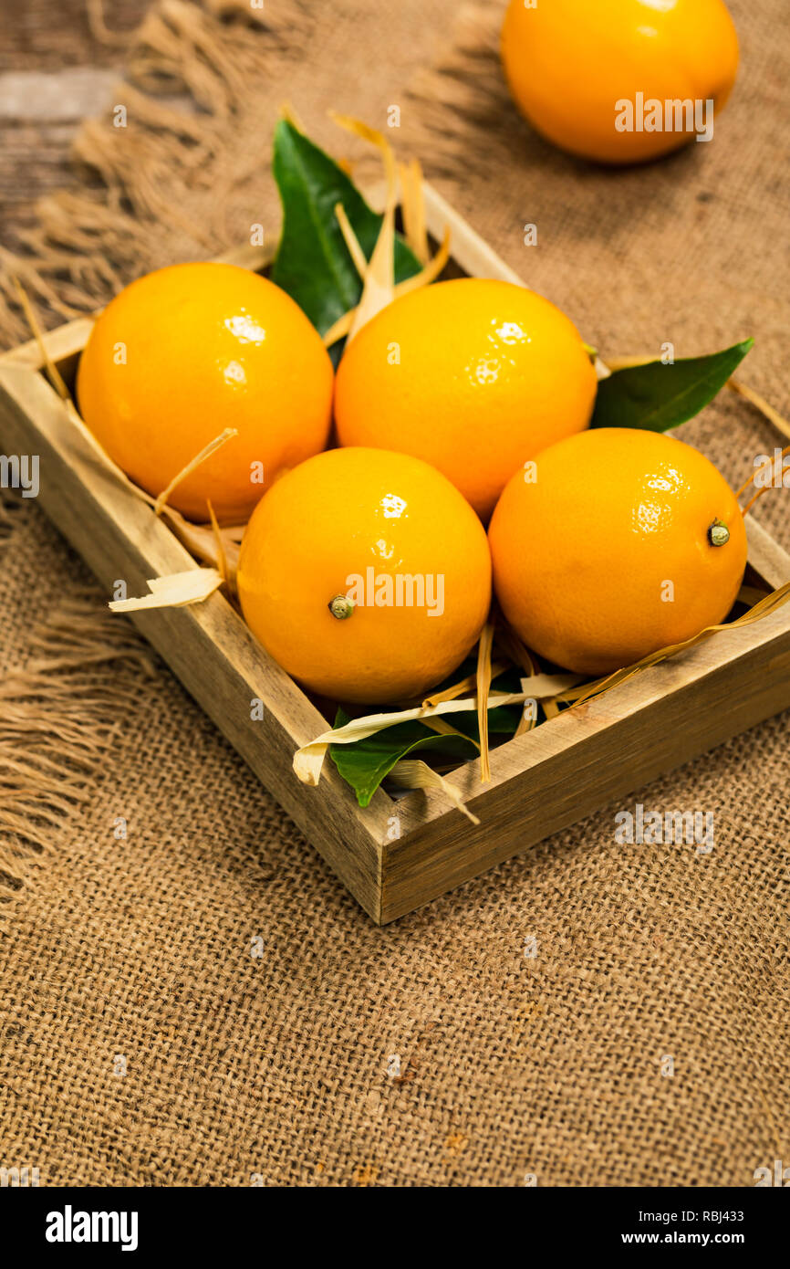 Lemon Oranges. Meyer lemon Hybrid Citrus Fruit Native to China Stock ...