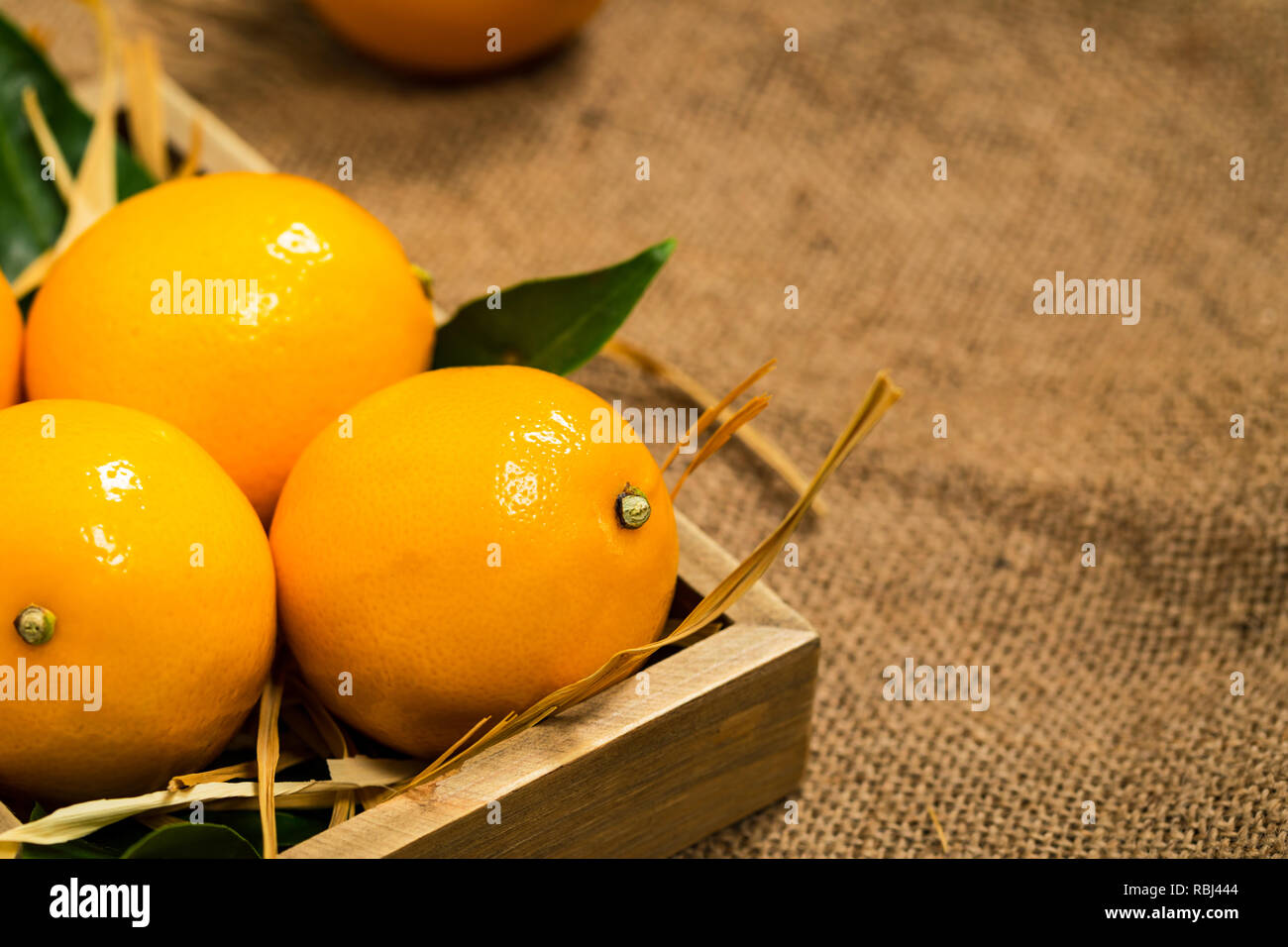 Hybrid mandarin orange lemon hi-res stock photography and images - Alamy