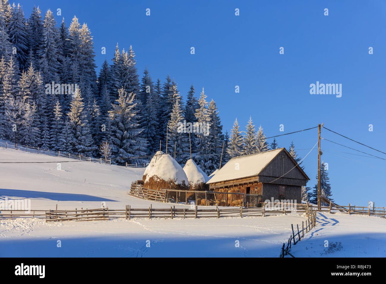 traditional house in Fundatica village. Brasov county, Romania Stock ...
