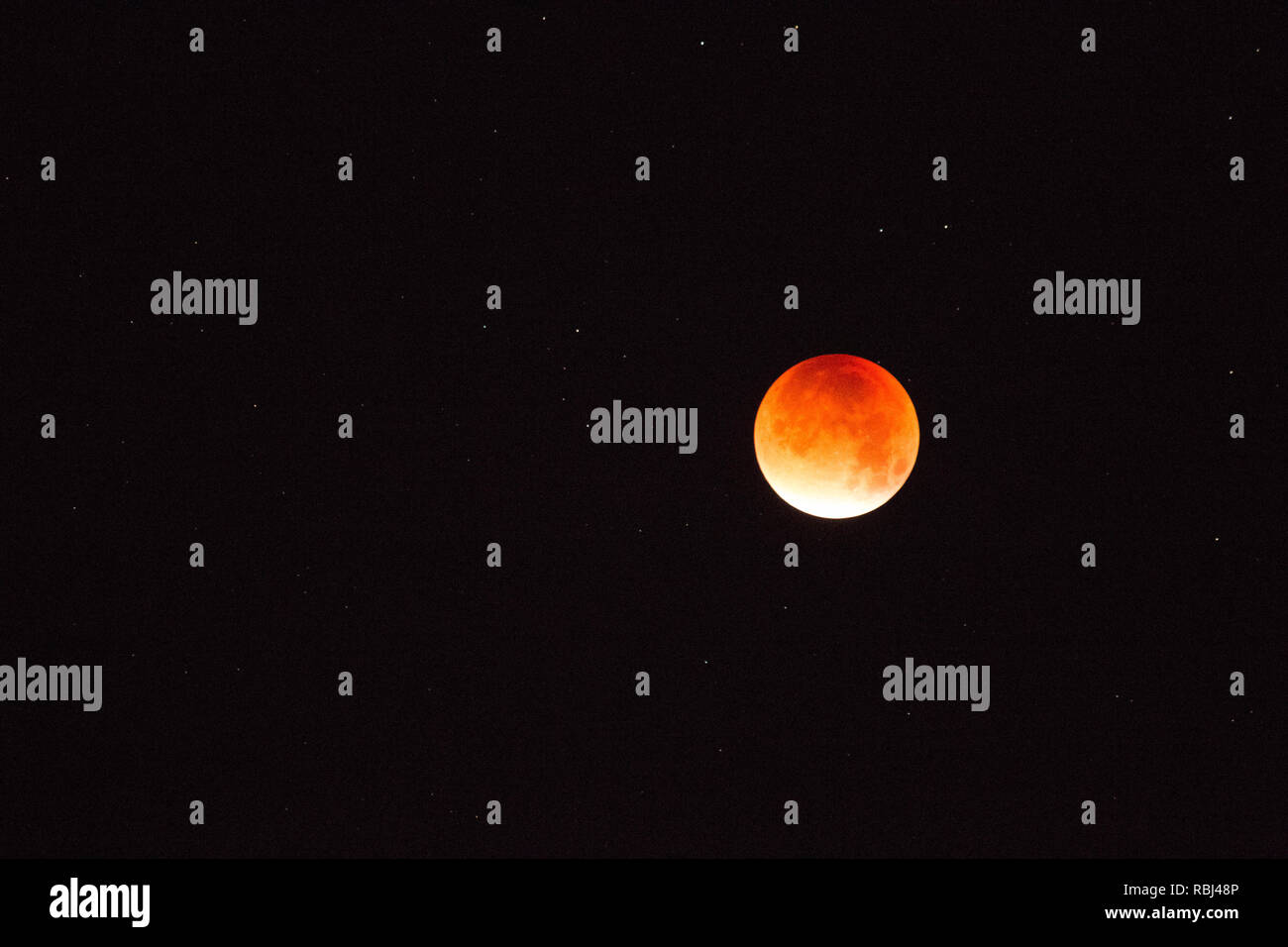 Blood Moon 2022 Prophecy