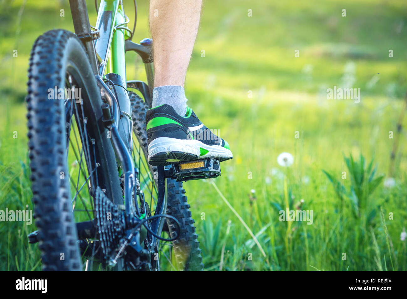 Man back view detail hi-res stock photography and images - Alamy