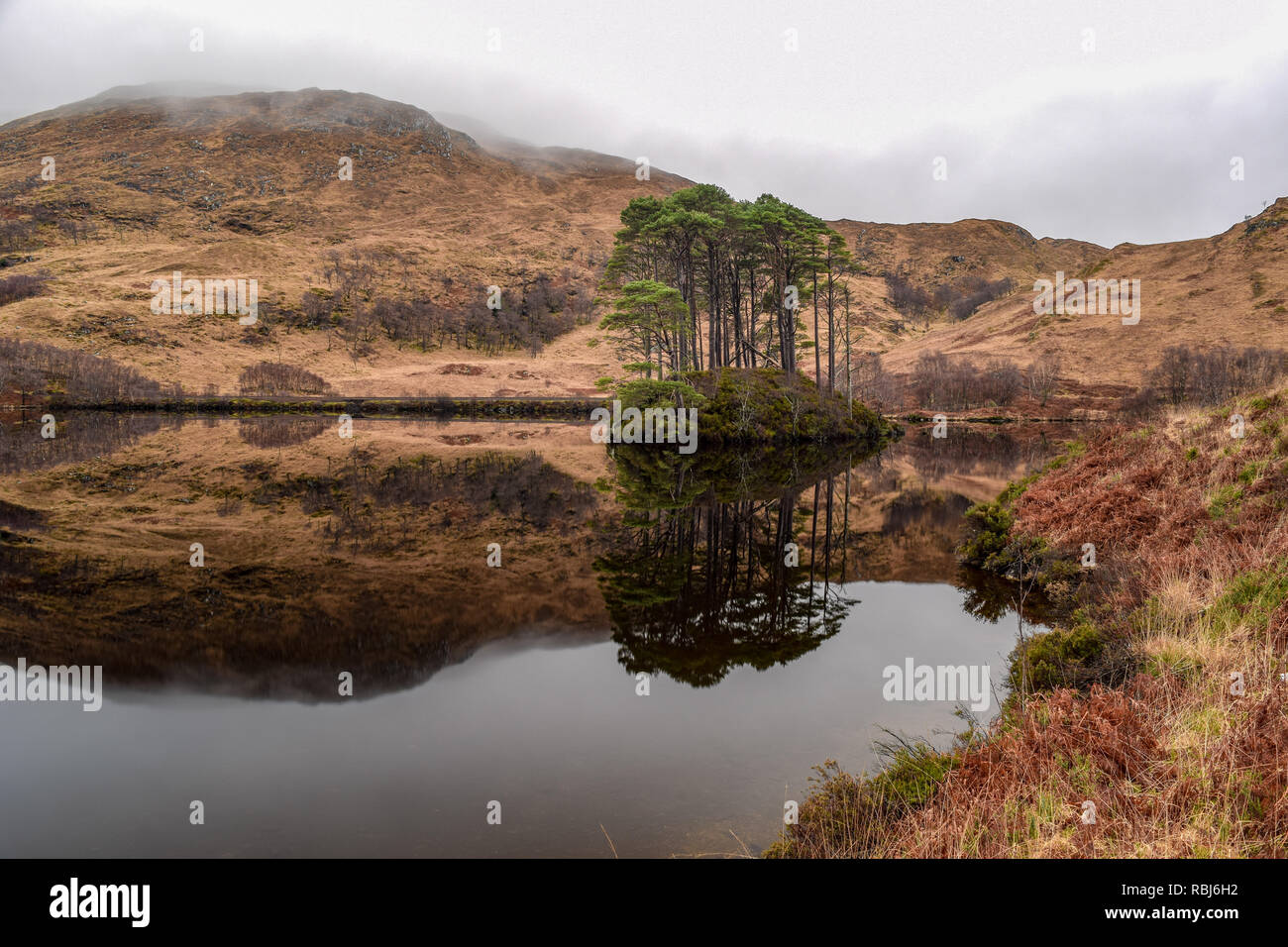 Loch Eilt in the Highlands of Scotland Stock Photo - Alamy