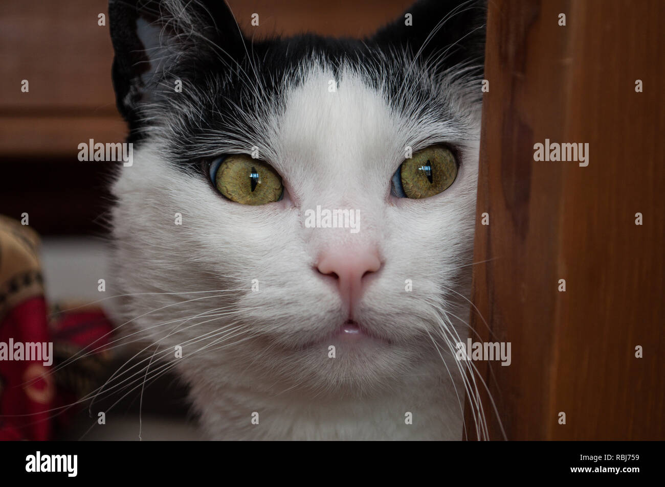 Look around corner hi-res stock photography and images - Alamy