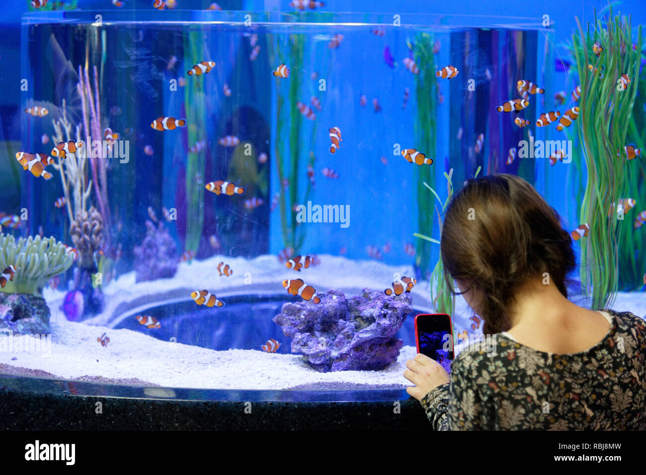 Girl at aquarium hi-res stock photography and images - Alamy