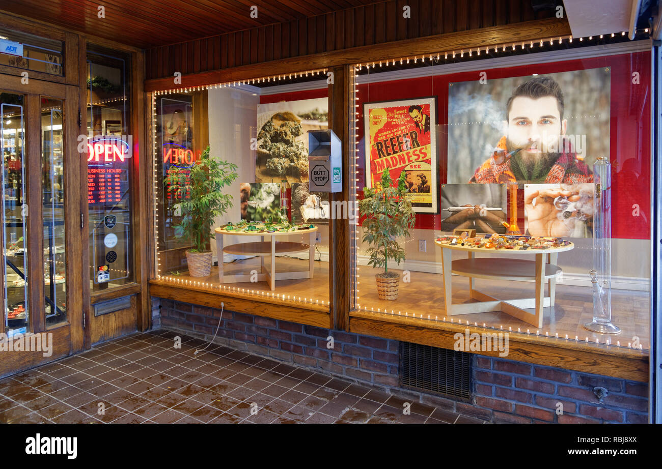 The windows of a cannabis smoke shop in Toronto, Canada Stock Photo - Alamy