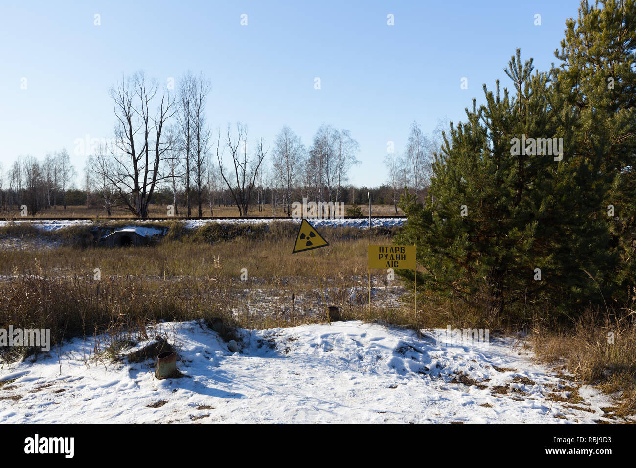 Red forest ukraine chernobyl hi-res stock photography and images - Alamy