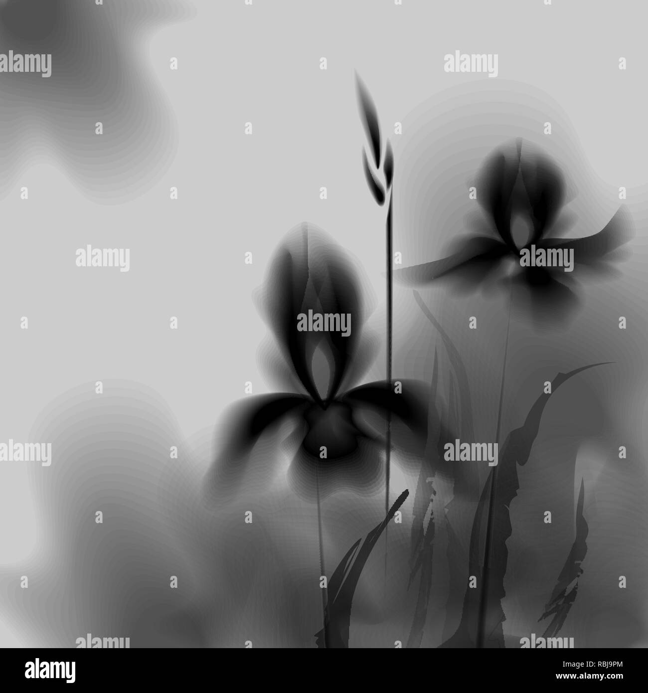 Floral background. Calligraphy ink. Stylized calligraphic ink iris ...