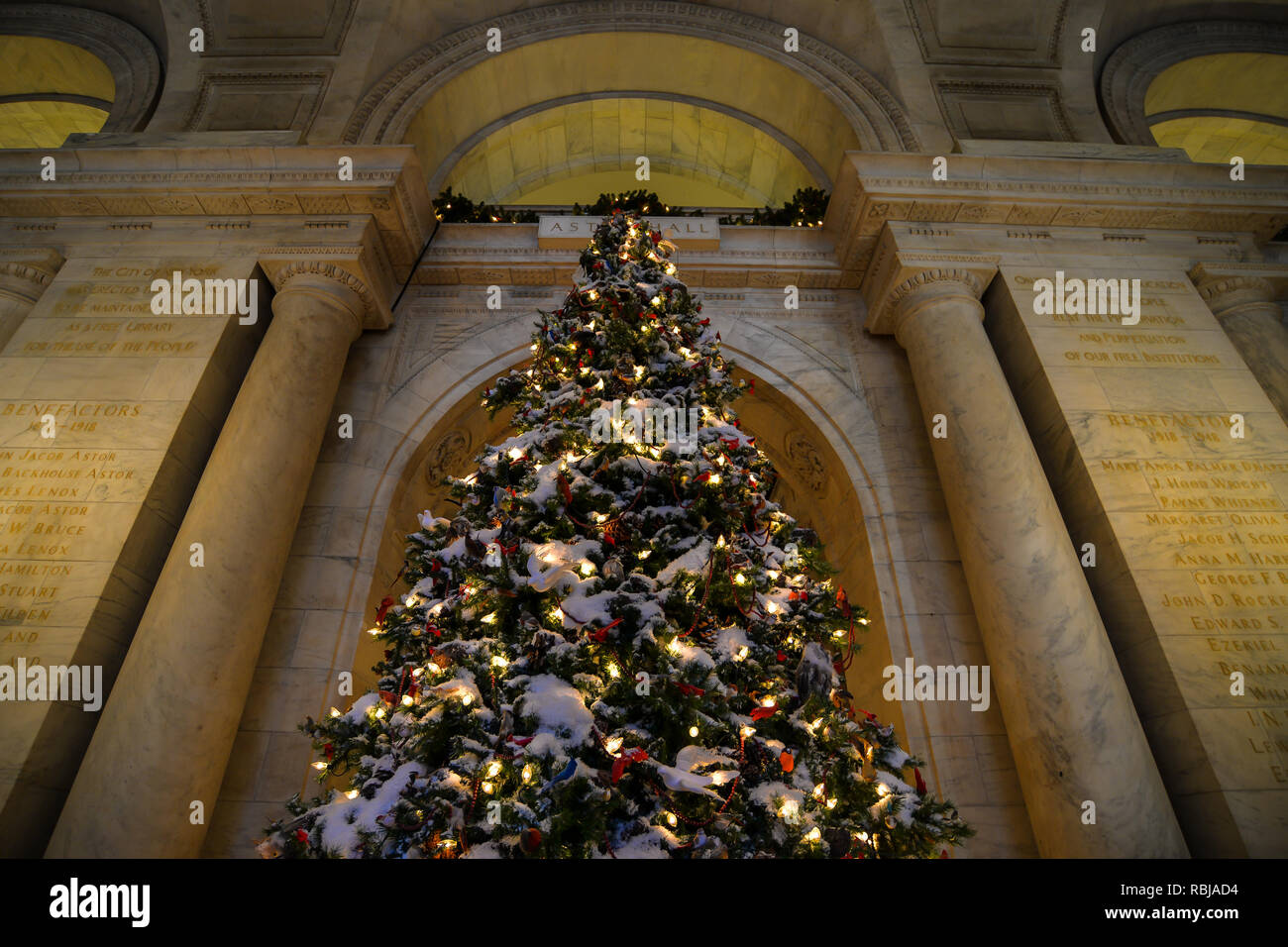 The iconic library in New York - USA Stock Photo - Alamy