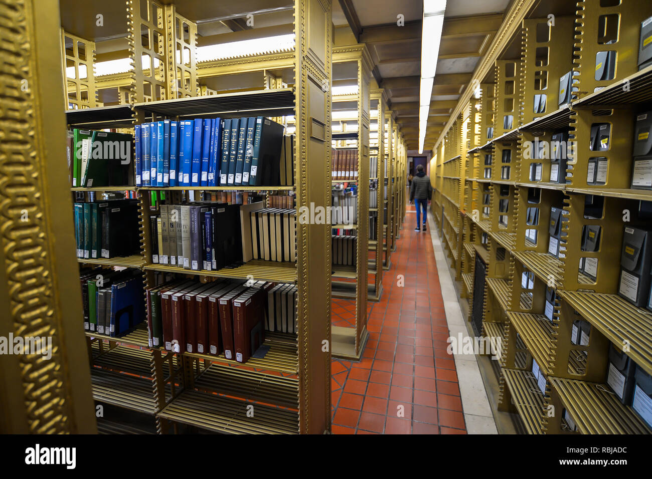 The iconic library in New York - USA Stock Photo - Alamy