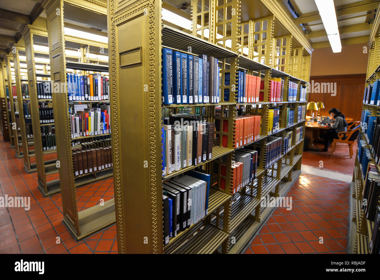The iconic library in New York - USA Stock Photo - Alamy