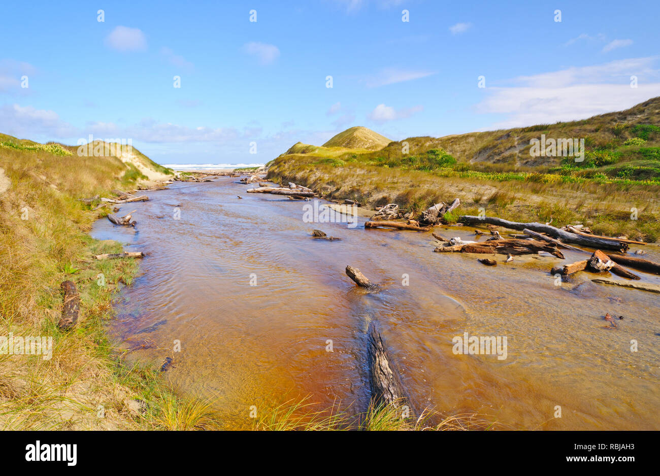 Mason bay beach hi-res stock photography and images - Alamy