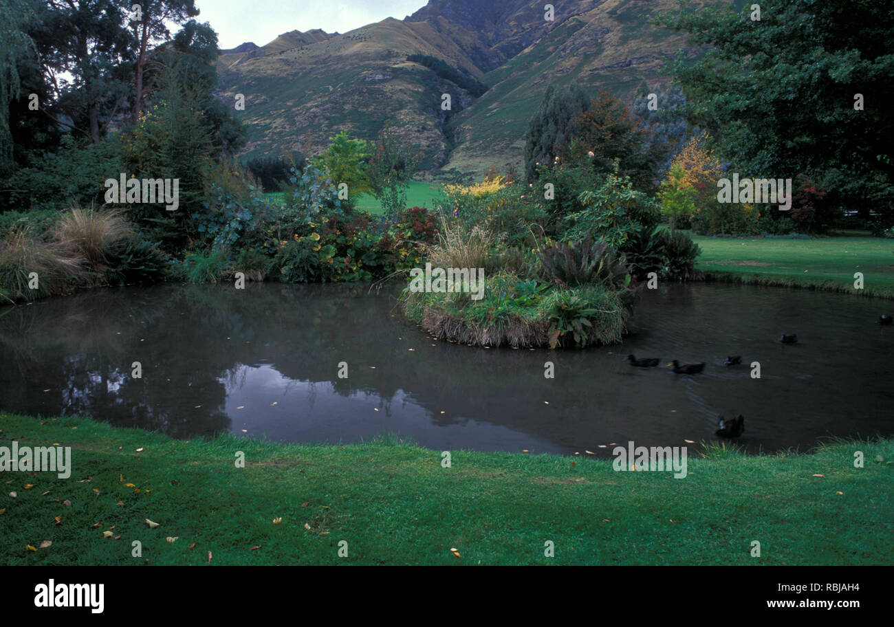AUTUMN, LAKE WITH ISLAND & DUCKS, GRASSES, FERNS, RUMEX DARMERA ...