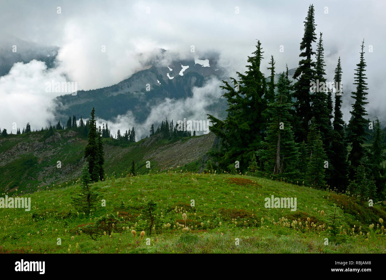 Tatoosh mountains hi-res stock photography and images - Alamy