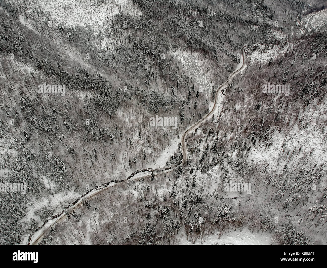 Aerial view winter forest landscape hi-res stock photography and images ...