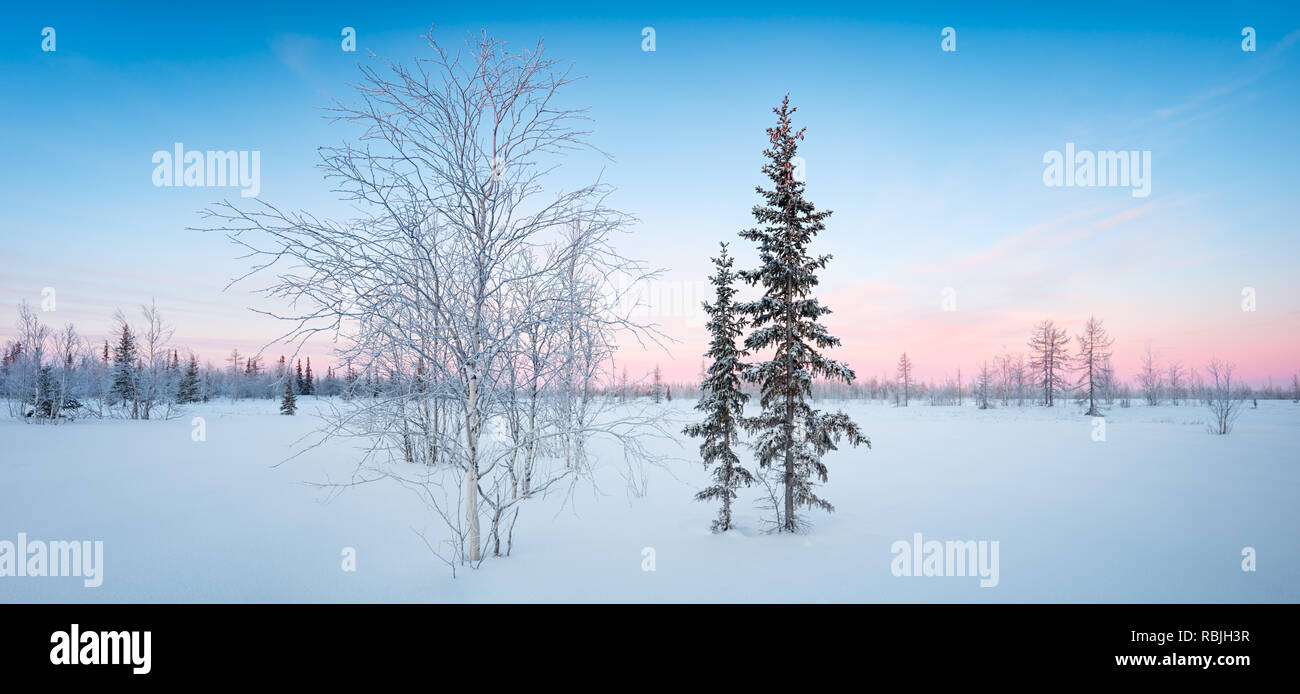 Snowy tundra hi-res stock photography and images - Alamy