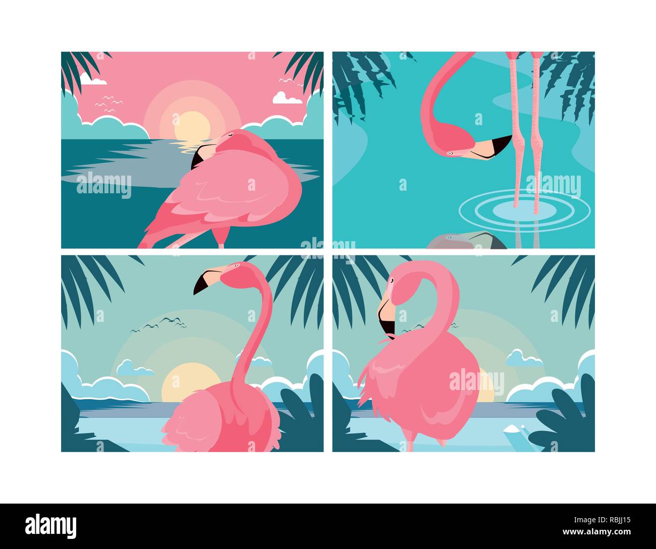 flamingos birds flock in the landscape scenes vector illustration ...
