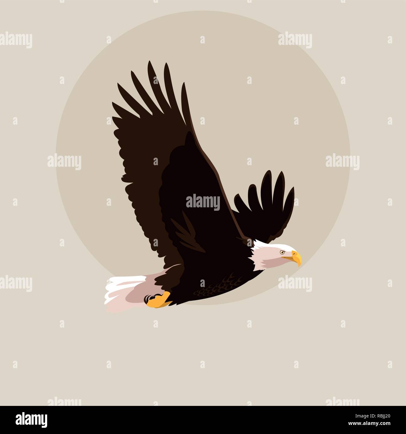 bald eagle bird flying vector illustration design Stock Vector Image ...