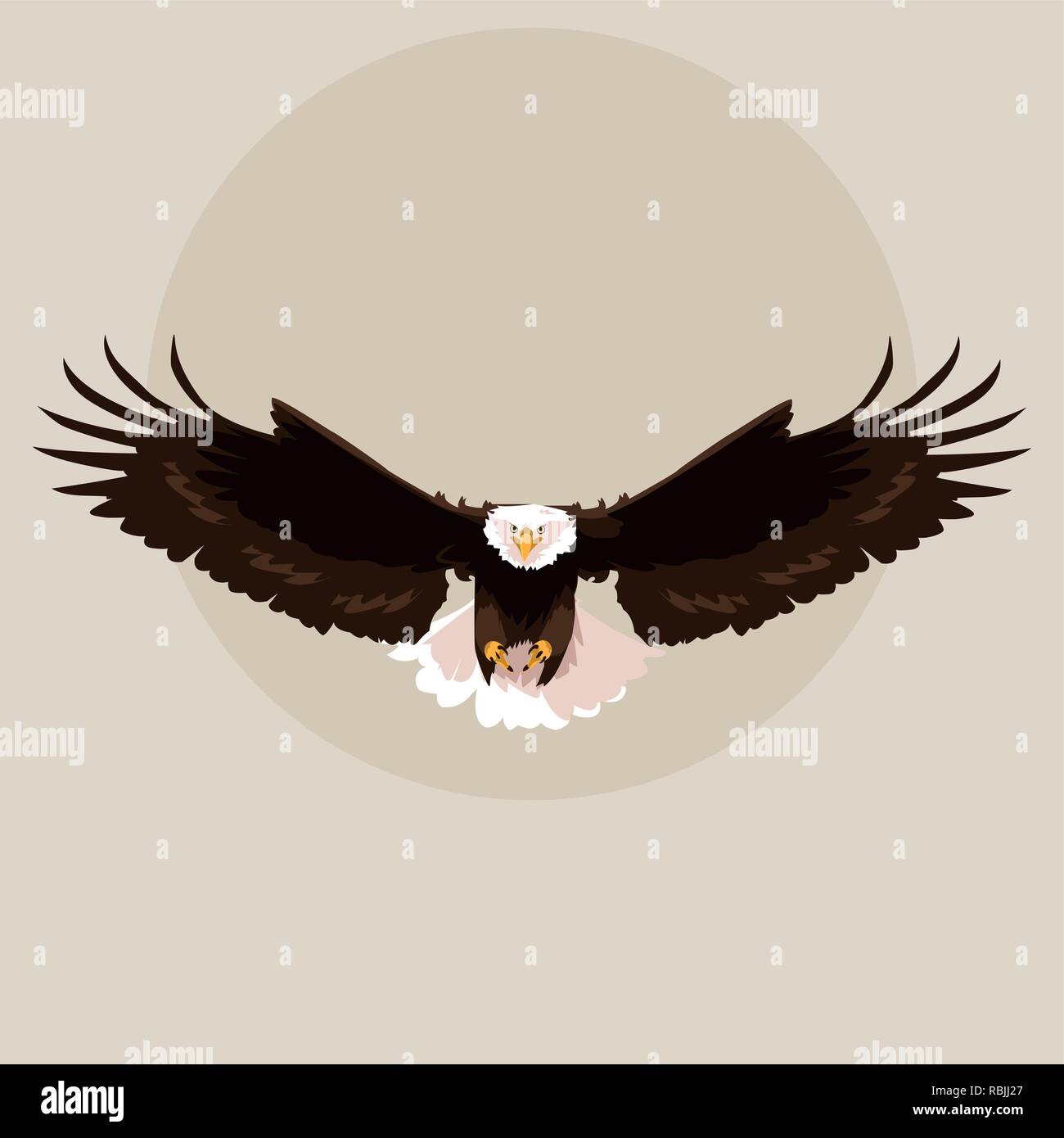 bald eagle bird flying vector illustration design Stock Vector Image ...