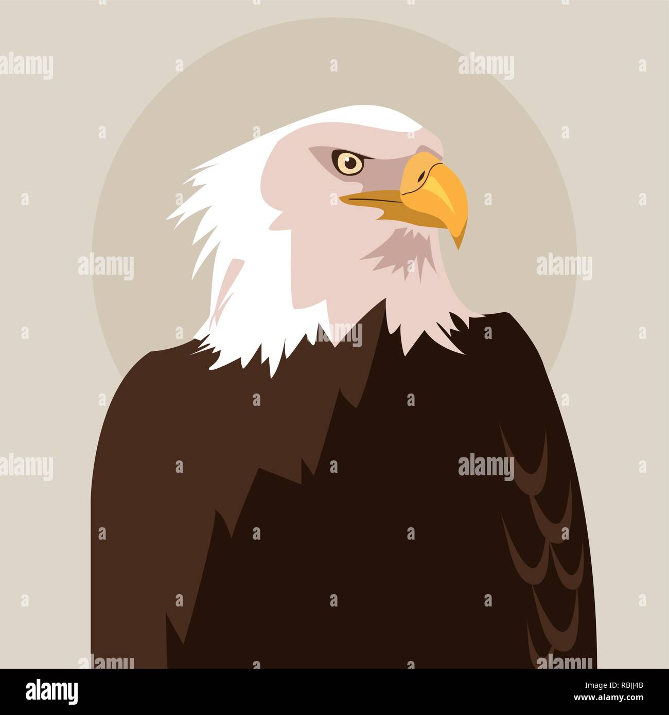 bald eagle bird icon vector illustration design Stock Vector Image ...