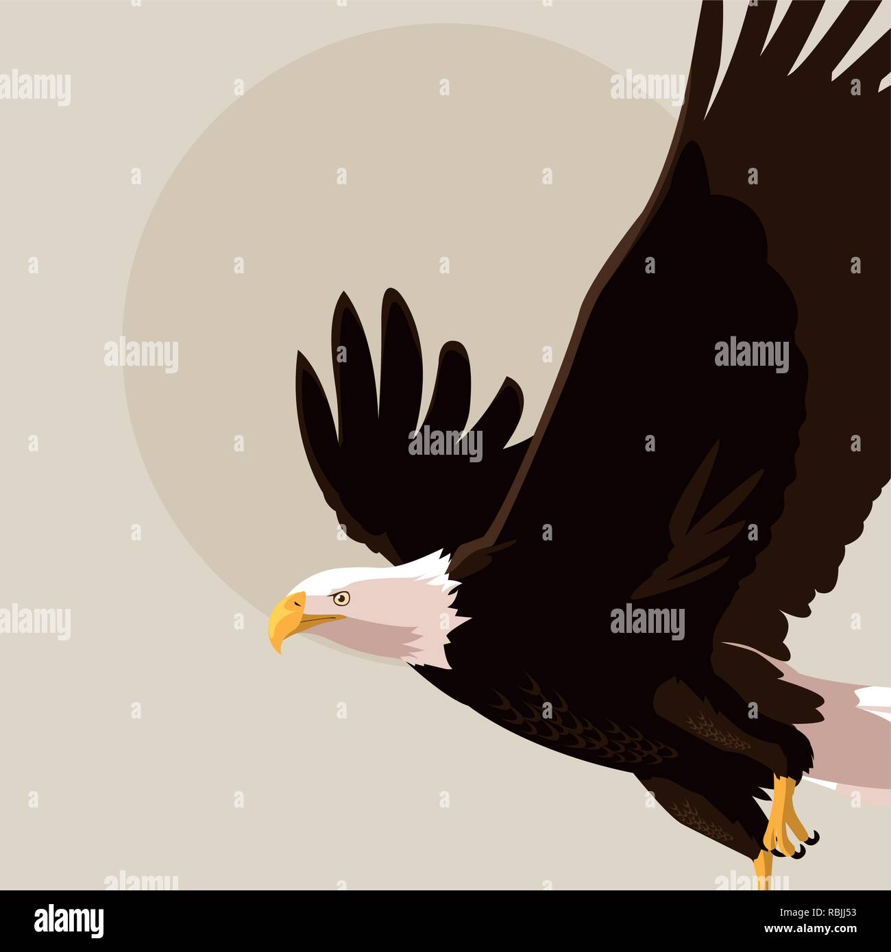 bald eagle bird flying vector illustration design Stock Vector Image ...
