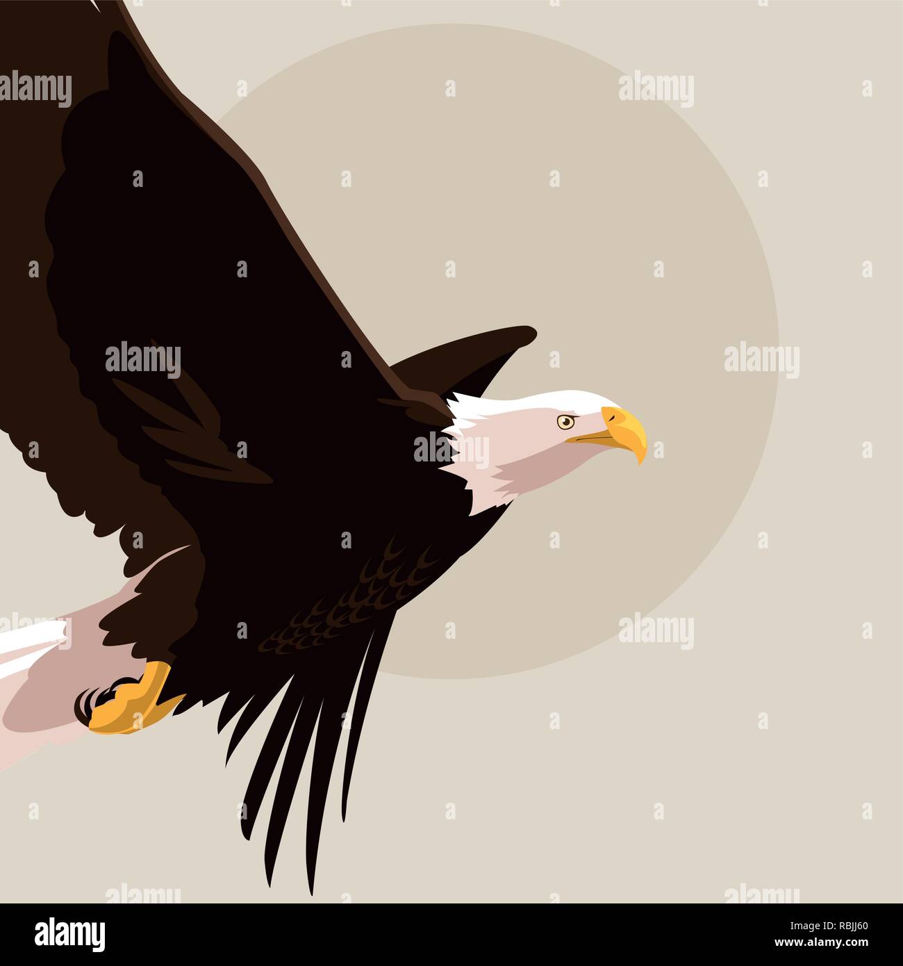 bald eagle bird flying vector illustration design Stock Vector Image ...