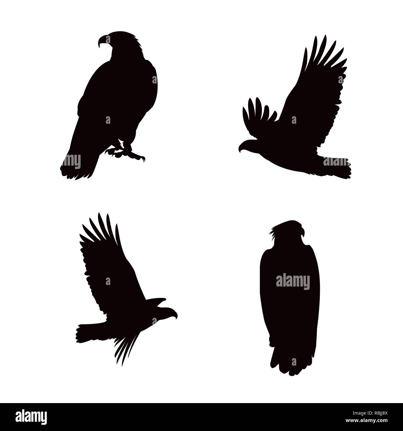 Aggressive eagles Stock Vector Images - Alamy
