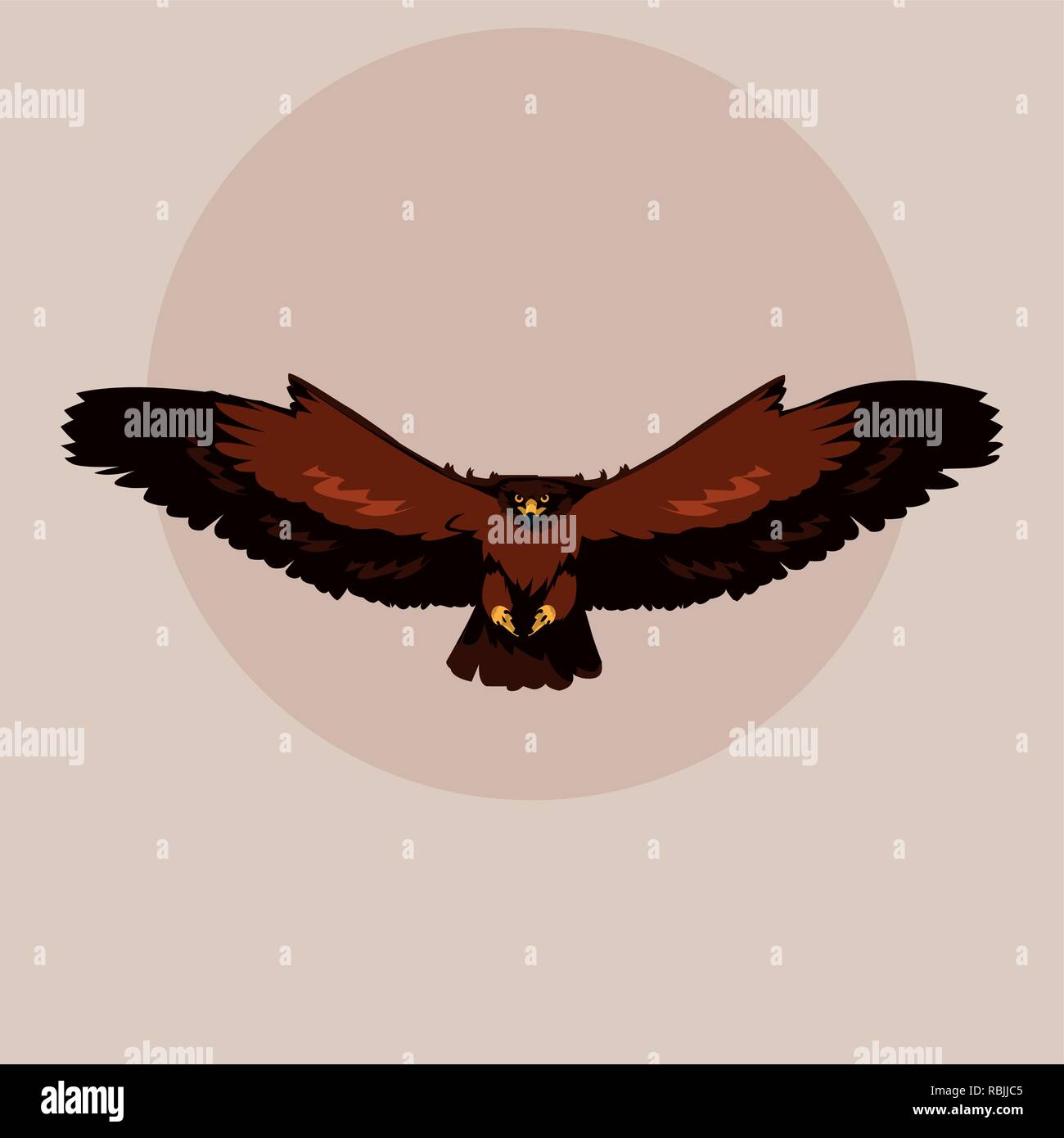 imposing hawk bird flying vector illustration design Stock Vector Image ...