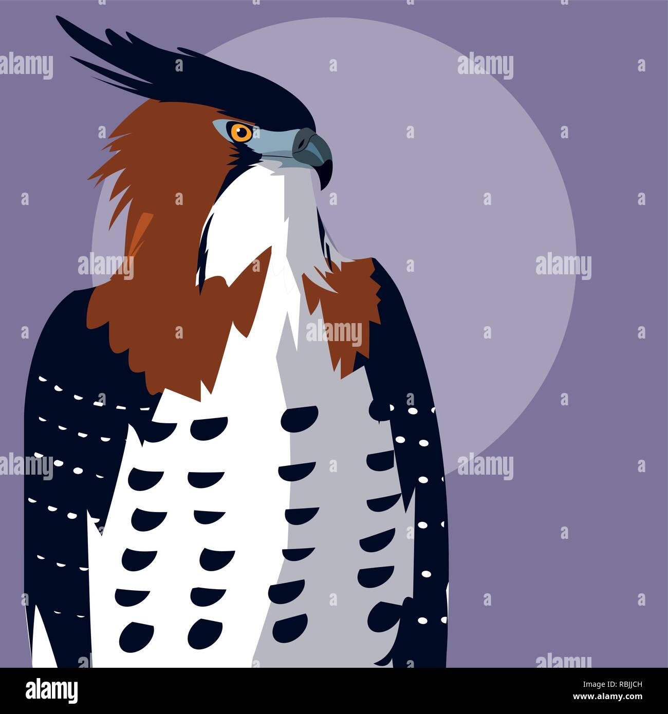 Falconry hawk Stock Vector Images - Alamy