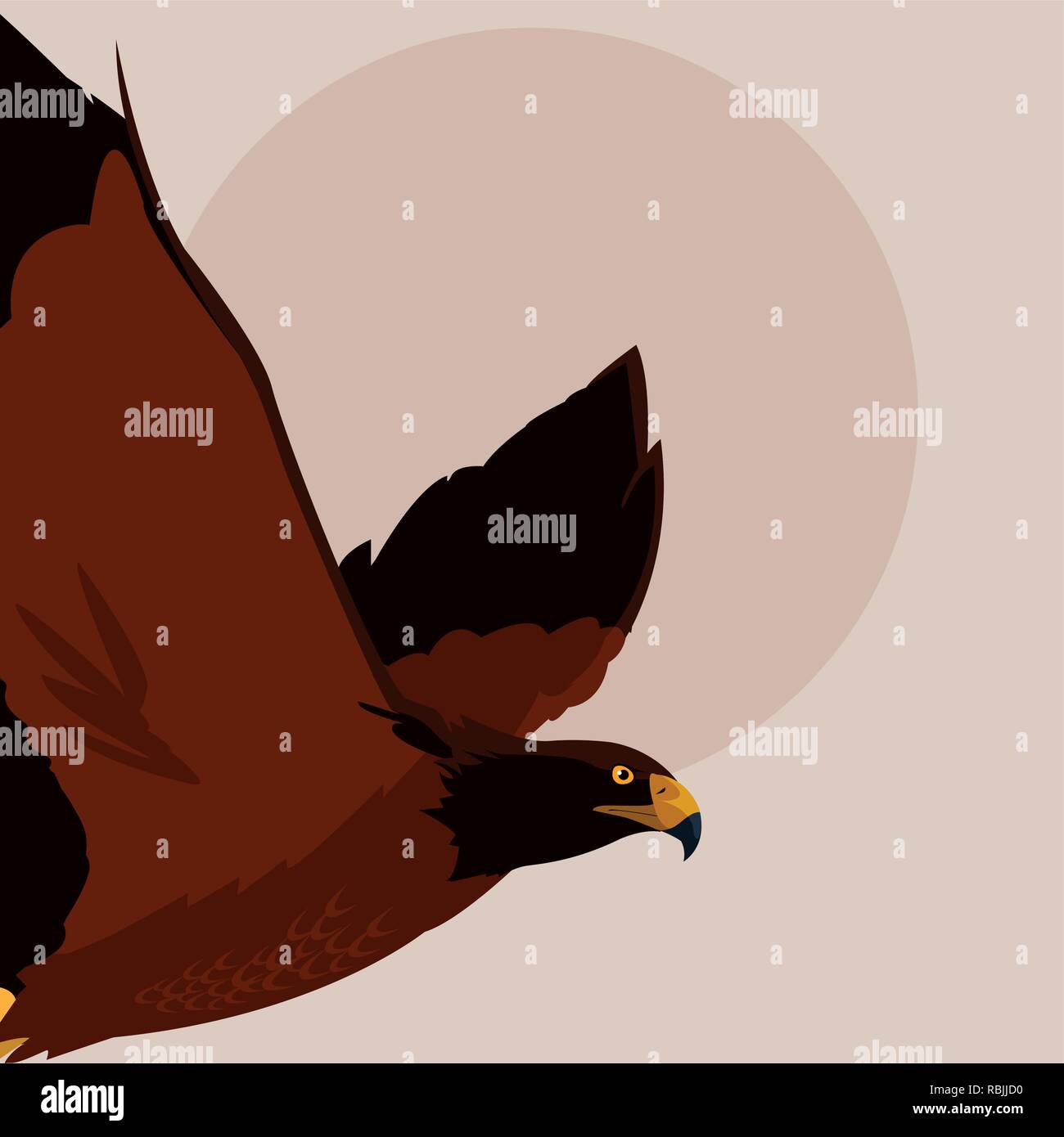 Hawk open wings Stock Vector Images - Alamy
