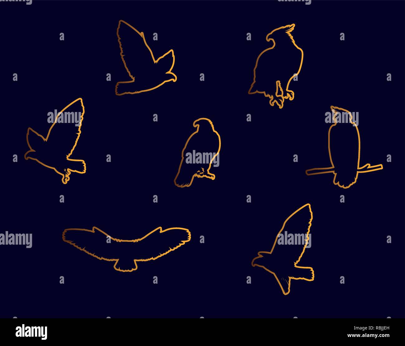 hawks birds golden silhouettes with different poses vector illustration ...