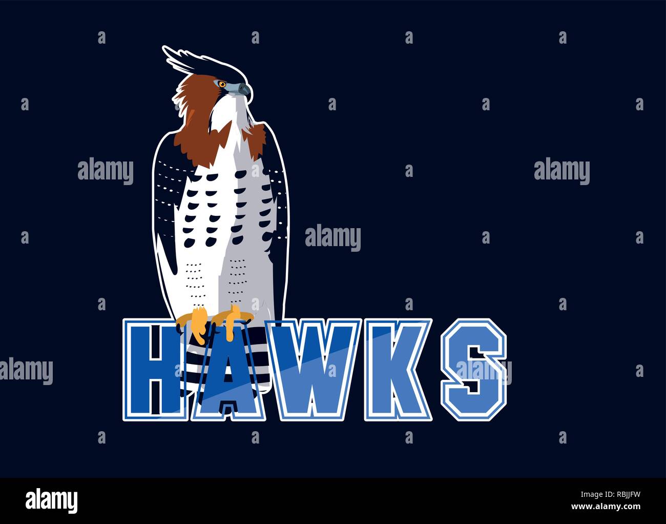 imposing hawks bird with word vector illustration design Stock Vector ...