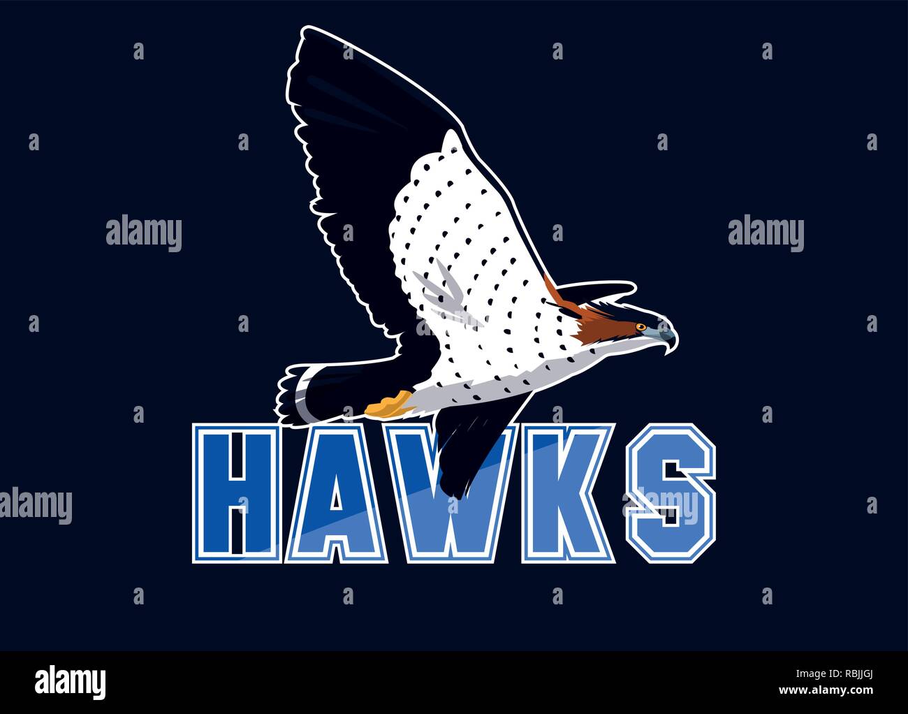 imposing hawk bird flying with word vector illustration design Stock ...
