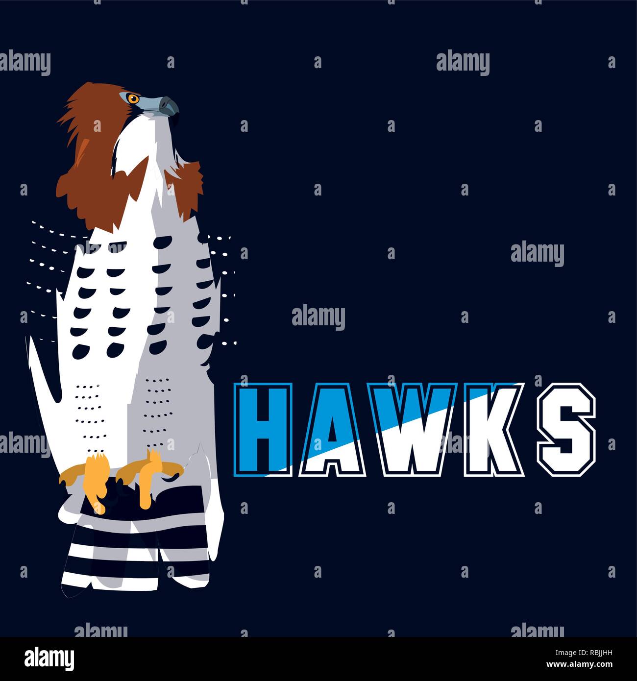 imposing hawks bird with word vector illustration design Stock Vector ...