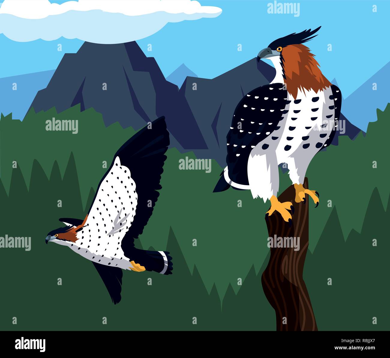 imposing hawk in the branch with landscape vector illustration design ...