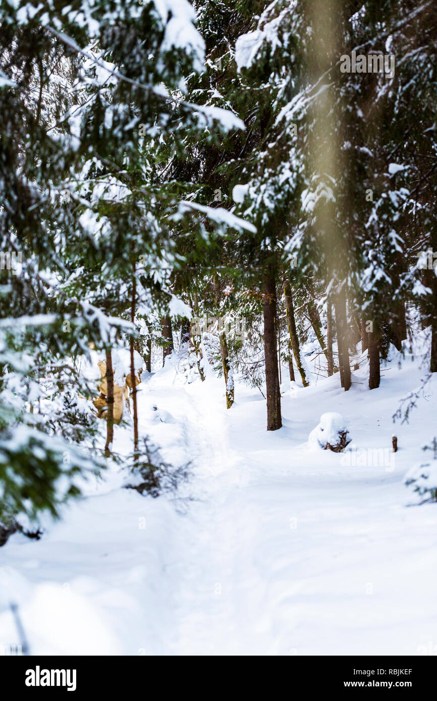 White footprint hi-res stock photography and images - Alamy