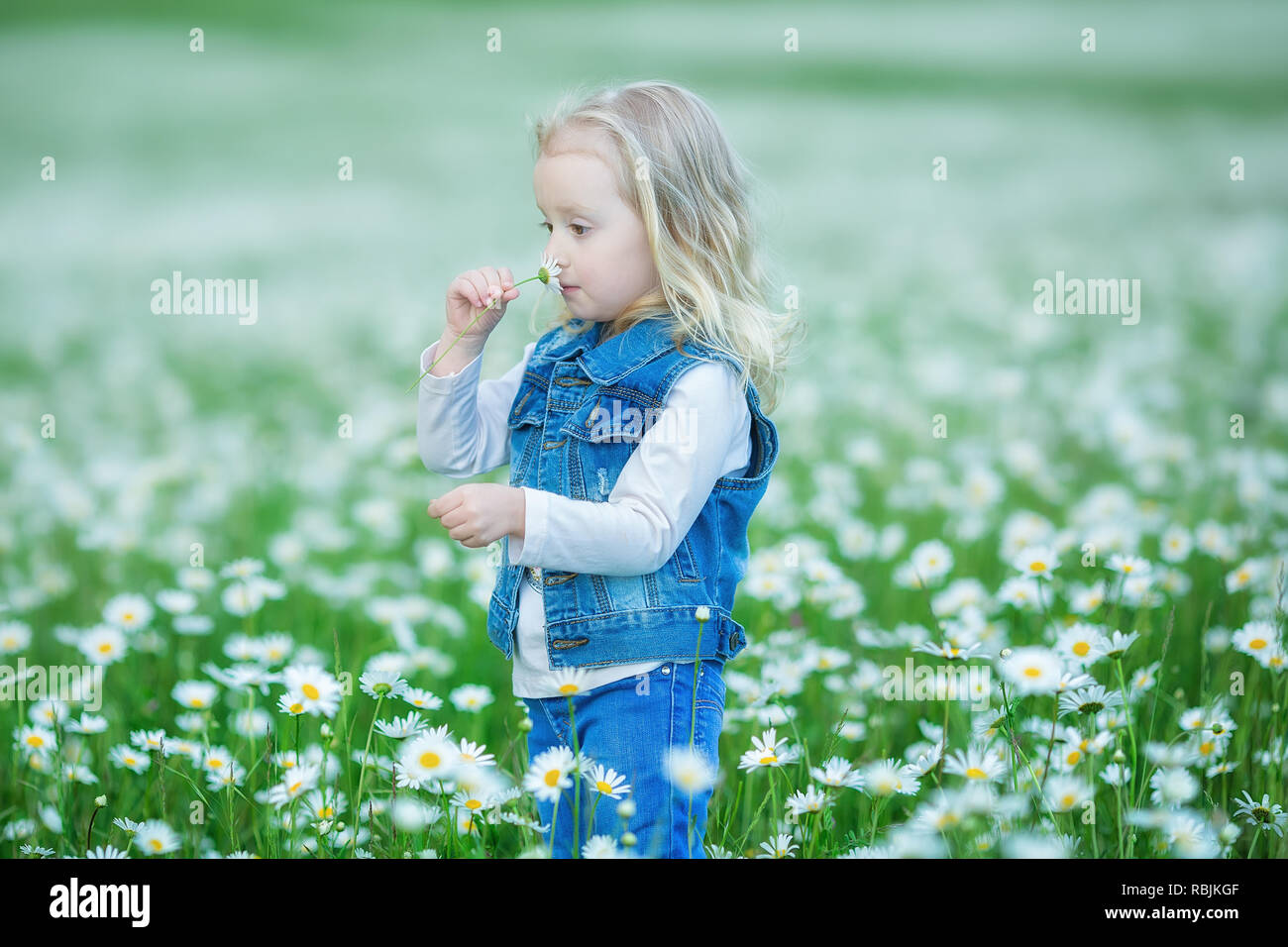 Cute little smiling baby girl in chamomile field Little blond child ...