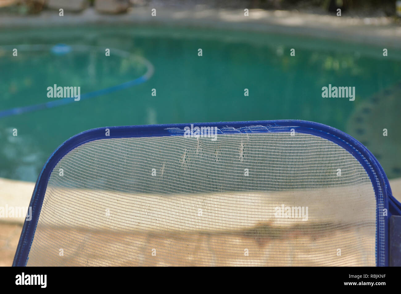 Cleaner swimming pool man in hi-res stock photography and images - Alamy