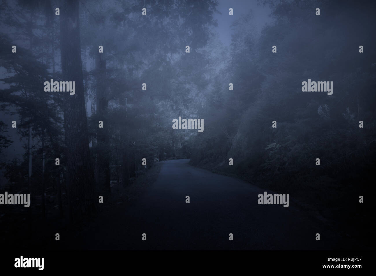 Foggy mountain forest road at night Stock Photo - Alamy