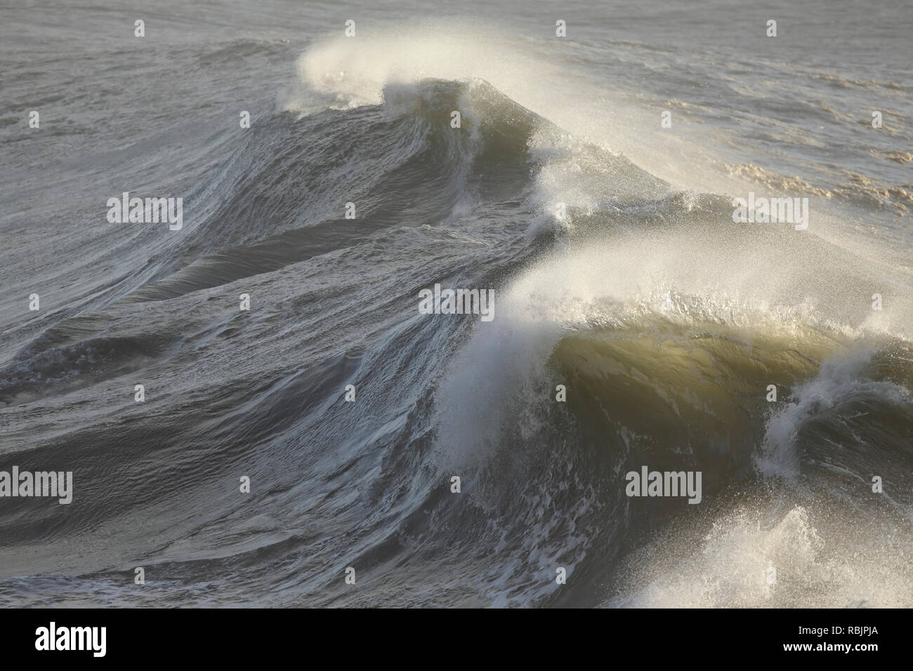 Soft backlit breaking big wave Stock Photo - Alamy