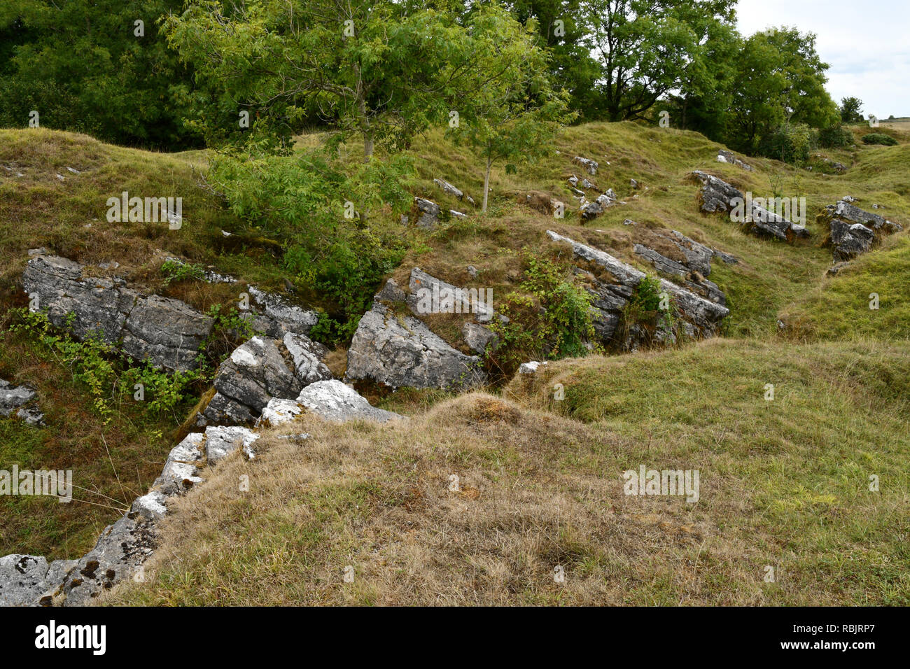 Ubley warren hi-res stock photography and images - Alamy