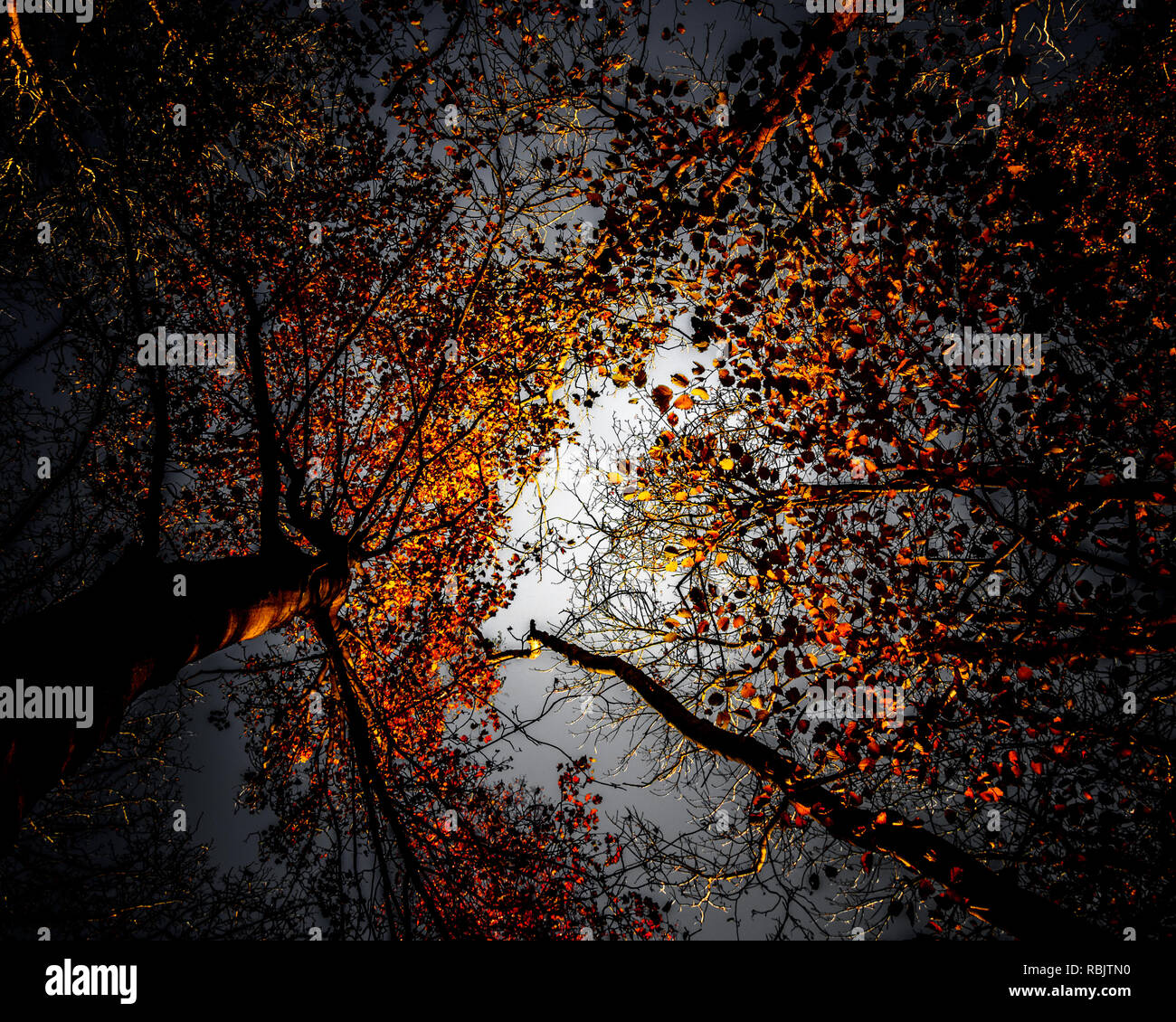 Gransden High Resolution Stock Photography and Images - Alamy