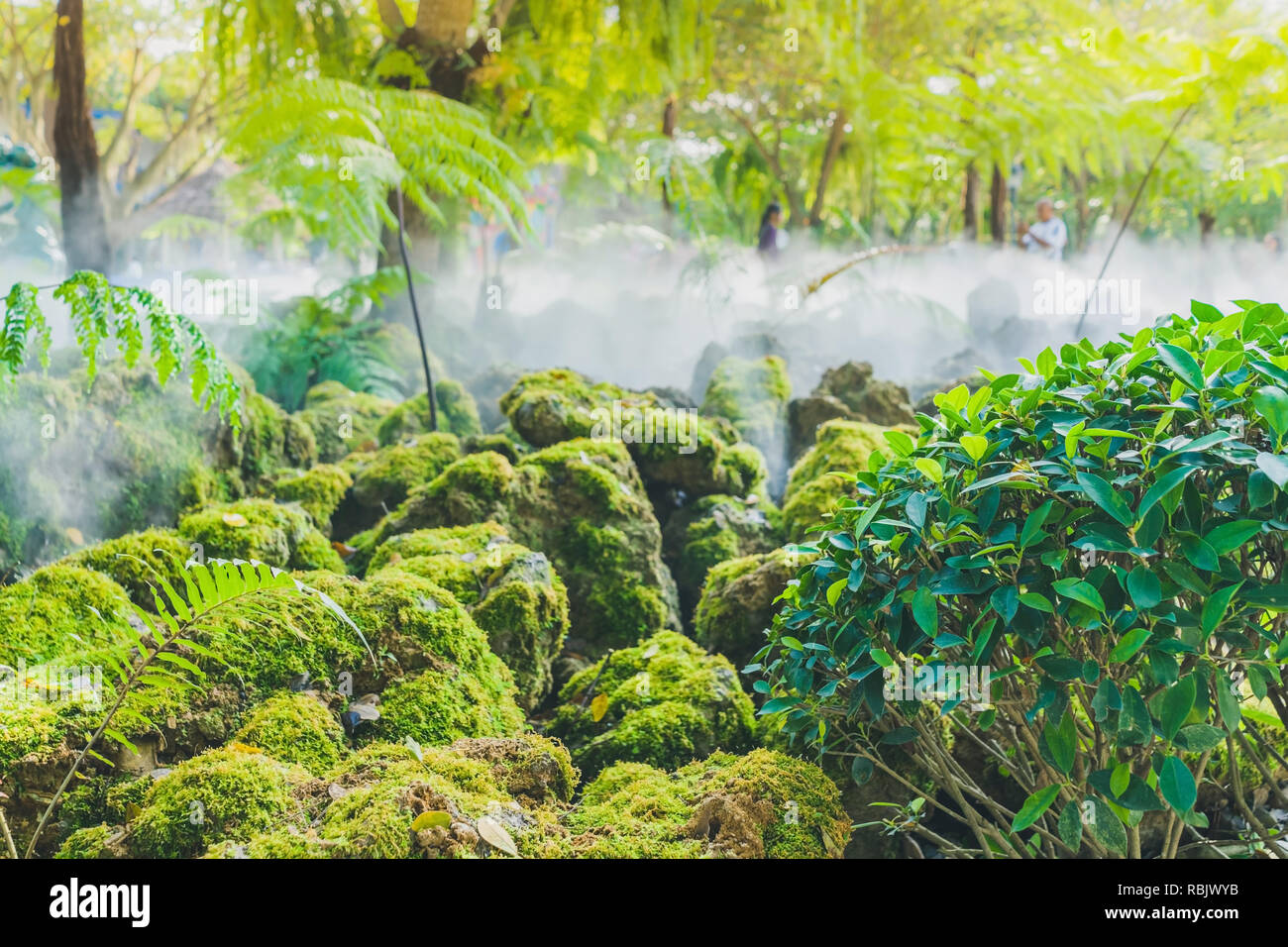Green mos on stone while water springer spreading in the garden Stock ...