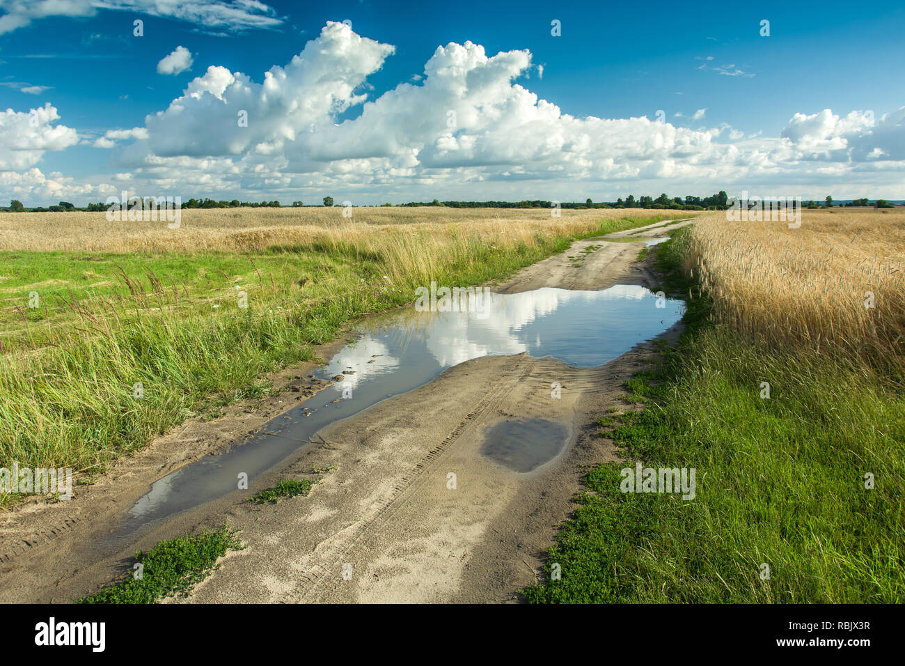 Water puddle rural puddles road hi-res stock photography and images - Alamy