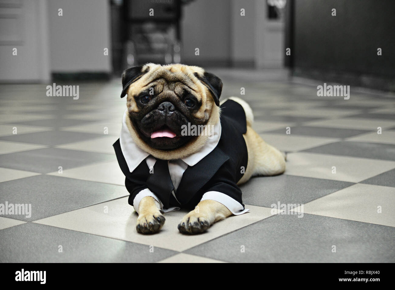 Frank mib character hi-res stock photography and images - Alamy
