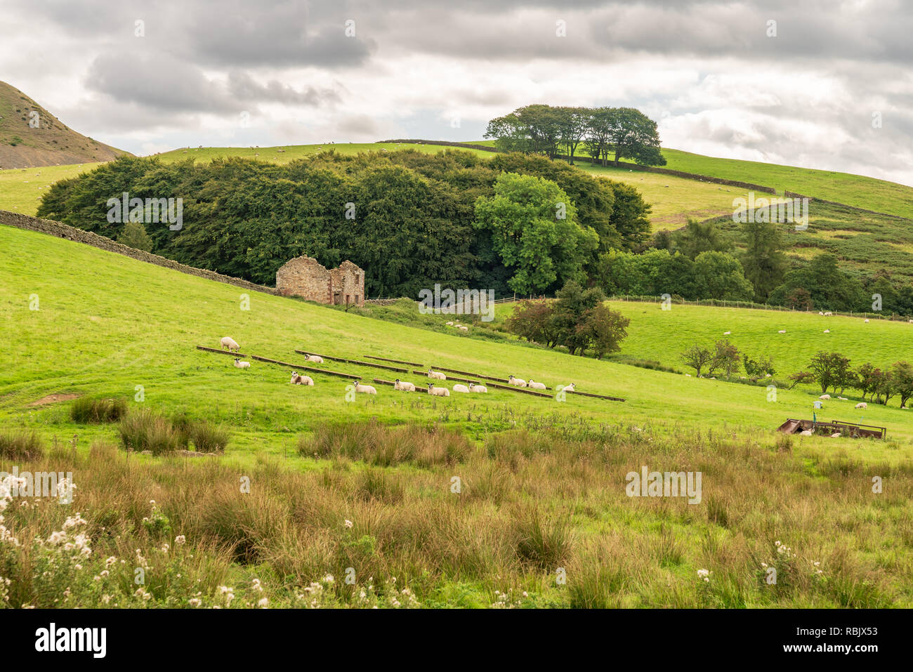 North Pennines landscape on the way between Dufton and High Cup Nick in ...