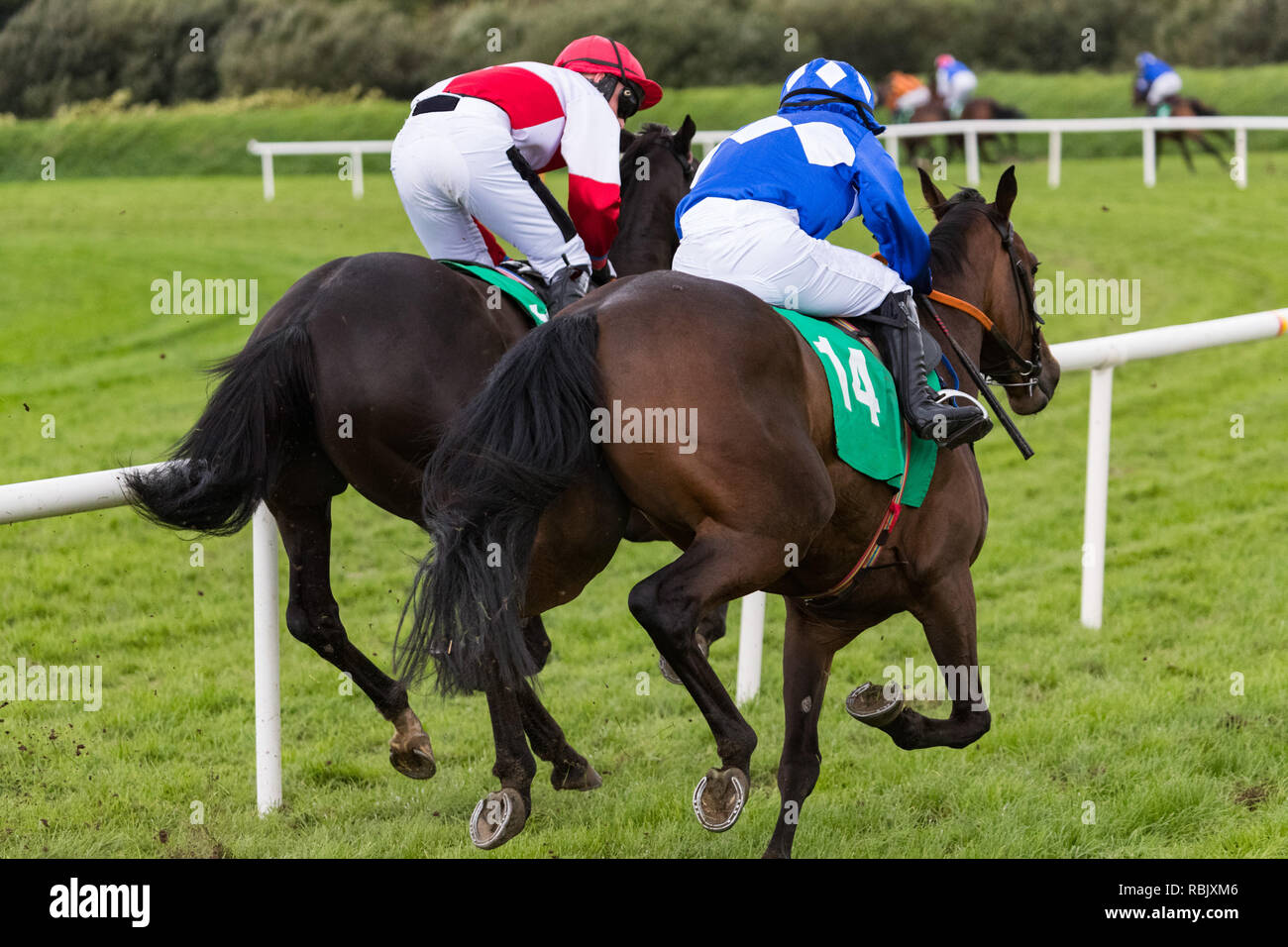 Two race horses and jockeys galloping for position on the race track ...