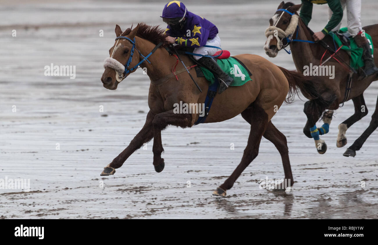 Close up action of galloping Race horse and jockey racing on wet sand ...
