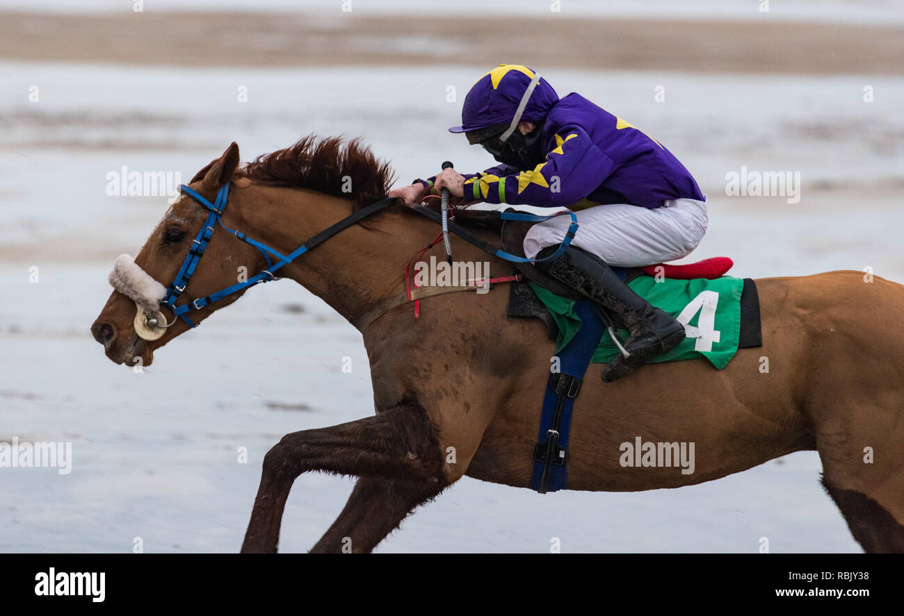 Close up action of galloping Race horse and jockey racing on the beach ...